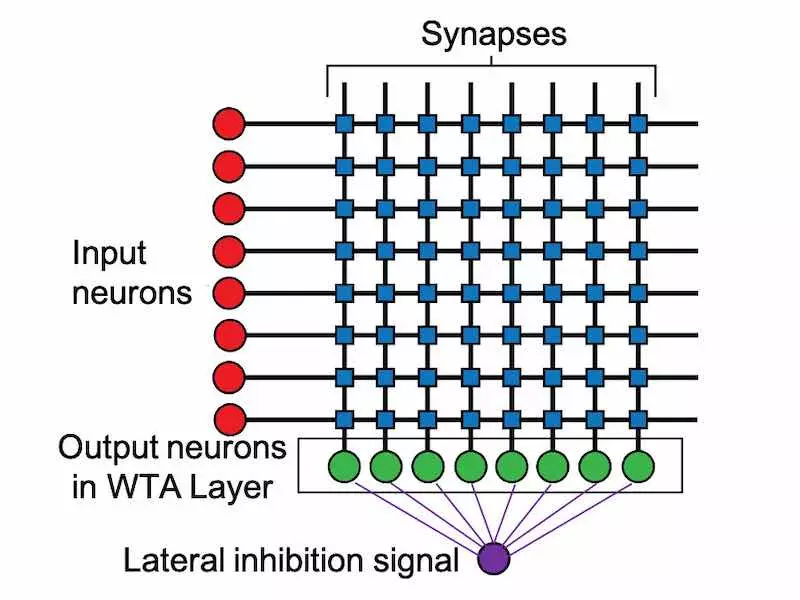 Diagram ukazující interakci mezi vstupními a výstupními neurony.