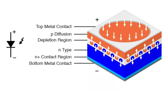 Photodiodes schematic chiratidzo uye muchinjiko-chikamu