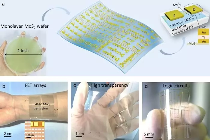 Transparent electronics prototypes siv 2D semiconductor