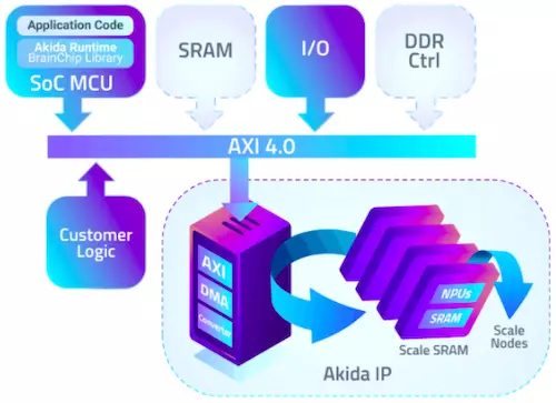 Diagrama de alguns dos IPs do Akida