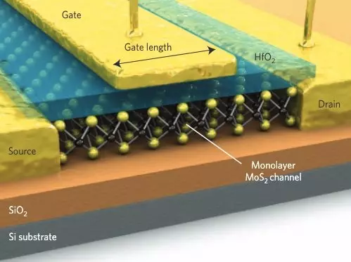 Seksyon sa usa ka FET base sa usa ka monolayer MoS2 channel