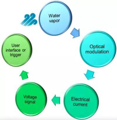 Yuav ua li cas ib txwm optical humidity sensor ua haujlwm