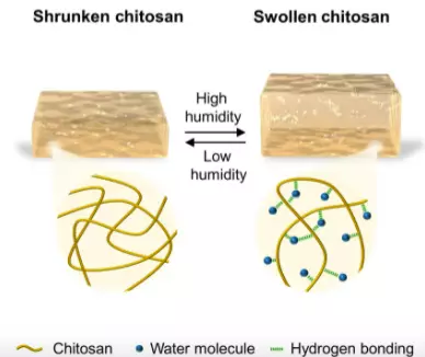 Chitosan