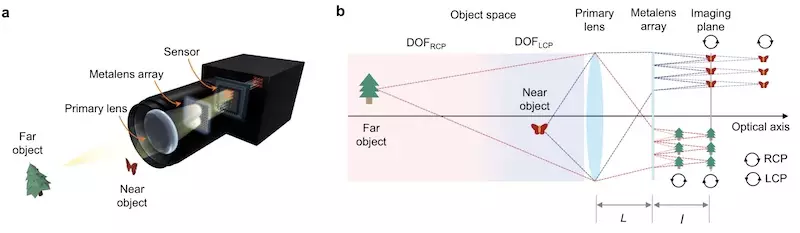 NIST giet prehistoarysk mei natuer-ynspirearre Metalens Imaging Technology 3526_4