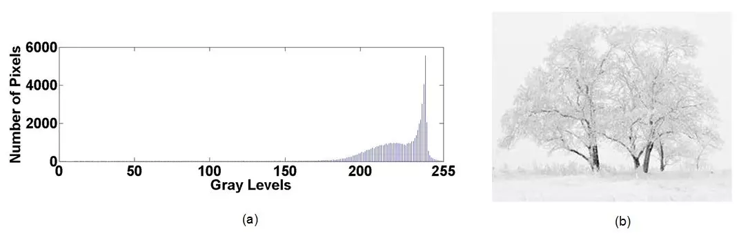 Karakteristik Histogram Inténsitas Piksel: Dasar Pengolahan Gambar sareng Visi Mesin 3993_6