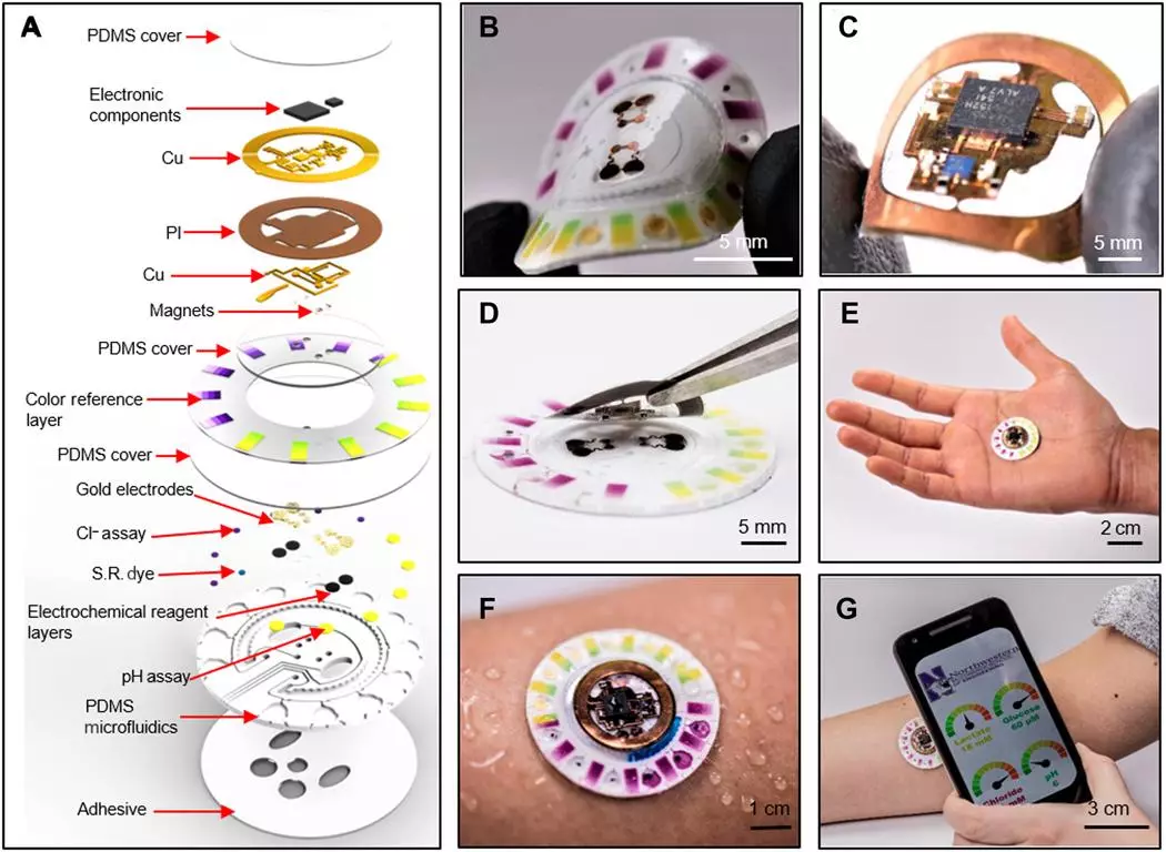 Biosensor-ka dhididka ee NFC-ku shaqeeya ee gulukooska iyo nuujinta 4234_1