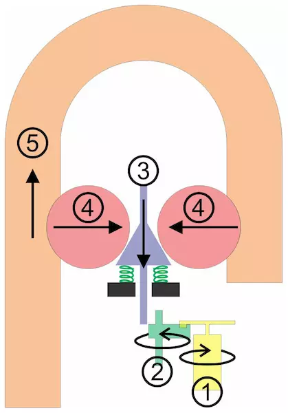 טירדאַון דינסטאג: בלועטאָאָטה פּאַדלאָקק 995_3